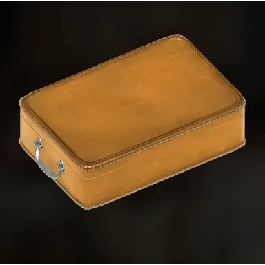 Suitcase - Yellow [Plan] - Fallout 76 Game Item - Gameflip