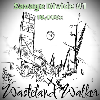⏰ 10k Savage Divide 1 Treasure Maps - Spiel Artikel - Gameflip