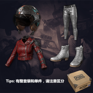 PUBG | PUNK DESTRUCTION SET - PlayerUnknown's Battlegrounds Game Items ...