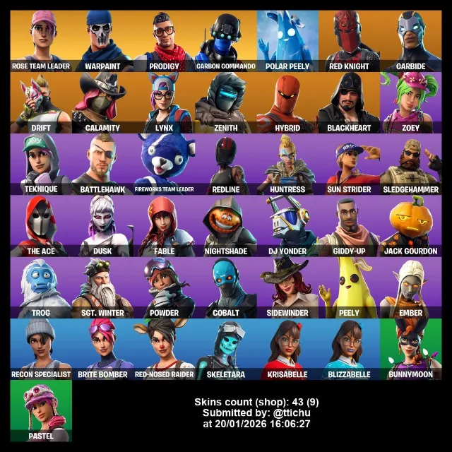 Fortnite : 43 Skins Save The World Founders Limited Edition | Calamity ...