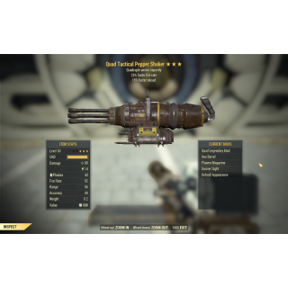 Weapon | Q25FR15 Pepper Shaker - Game Items - Gameflip