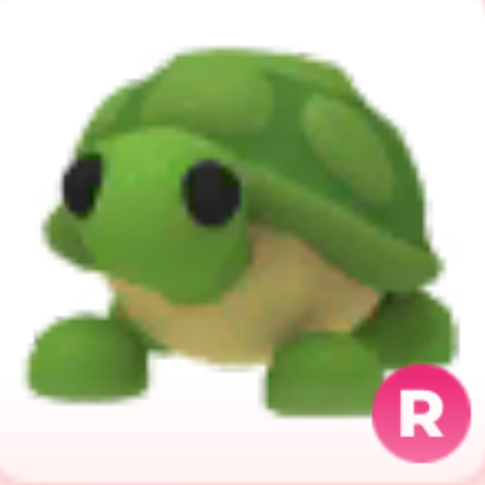 R Turtle - Adopt Me! Game Item - Gameflip