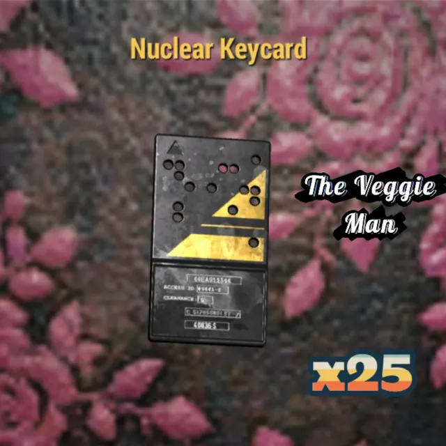 Nuclear Keycard x25 - Fallout 76 Game Item - Gameflip
