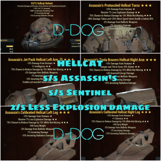 Hellcat Assassin Sentinel - Game Items - Gameflip