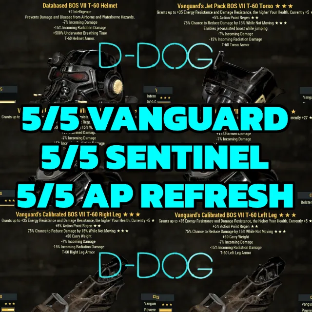 T60 VANGUARD SENTINEL AP - Fallout 76 Game Item - Gameflip