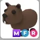 MFR Capybara - Adopt Me Game Item - Gameflip