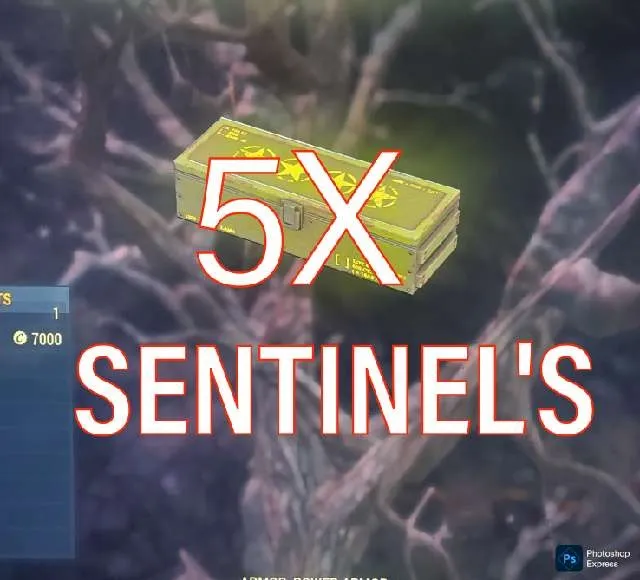 5 Sentinel Mods - Fallout 76 Game Item - Gameflip