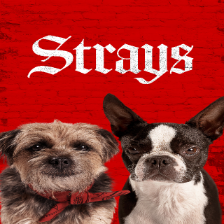 Strays - Digital Movies - Gameflip