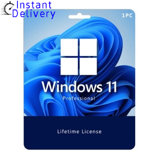 Windows 11 Pro OEM Lifetime Product KEY - Other Gift Cards - Gameflip