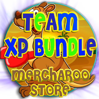 XTREME XP Bundle L - Game Items - Gameflip