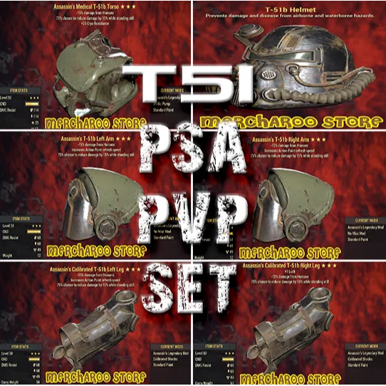 T51 PSA - Fallout 76 Game Items - Gameflip