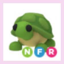 Pet | NFR Turtle - Game Items - Gameflip