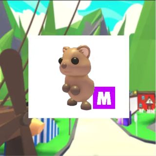 Quokka Mega - Game Items - Gameflip