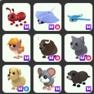 Adopt me bundle - Adopt Me Game Item - Gameflip