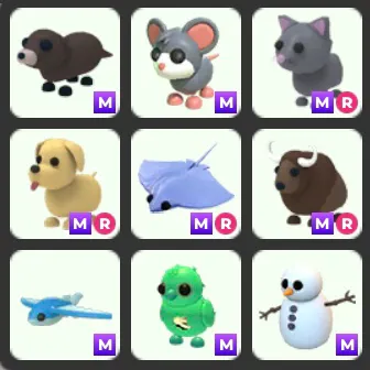 Adopt me bundle - Adopt Me Game Item - Gameflip