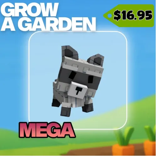 MEGA RACCOON GROW A GARDEN FOR ONLY $16.95 - Roblox Game Item - Gameflip