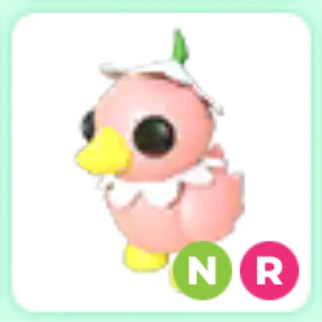 Flower Power Duckling NR - Adopt Me! Game Item - Gameflip