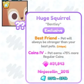 Huge Squirrel - Pet Simulator X Game Items - Gameflip