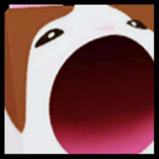 Pet | Huge Pop Cat - Game Items - Gameflip