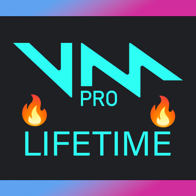 Voicemod PRO Lifetime Account Full Access License (custom order with ...