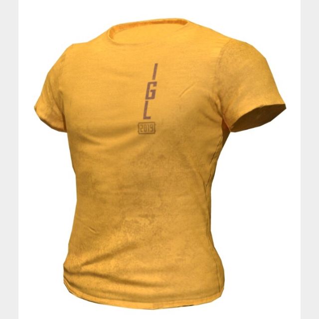PUBG | IGL 2019 T-Shirt - PlayerUnknown's Battlegrounds Game Items ...