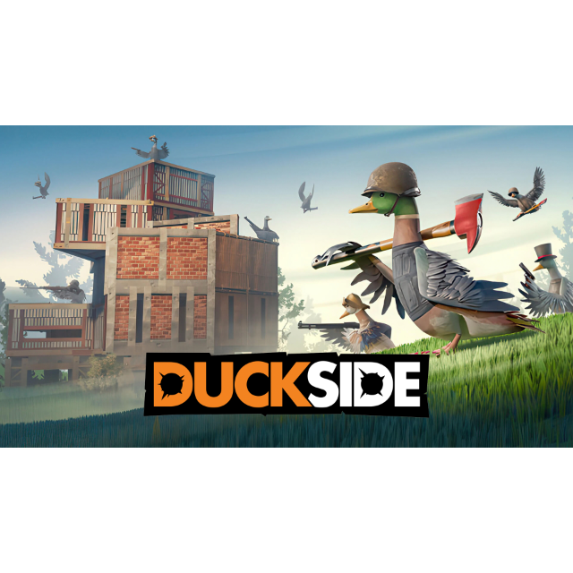 DUCKSIDE Steam Key Global (INSTANT DELIVERY) - Steam Game - Gameflip