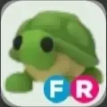 Turtle | adopt me - Adopt Me Game Item - Gameflip