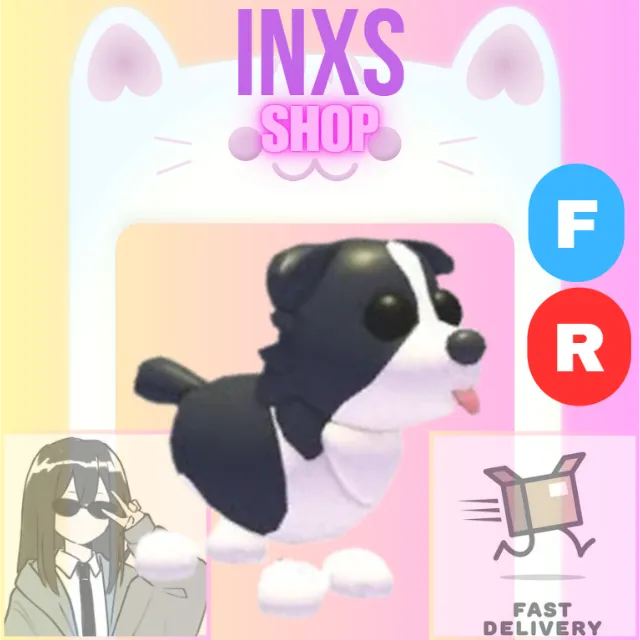 FR BORDER COLLIE - Adopt Me Game Items - Gameflip