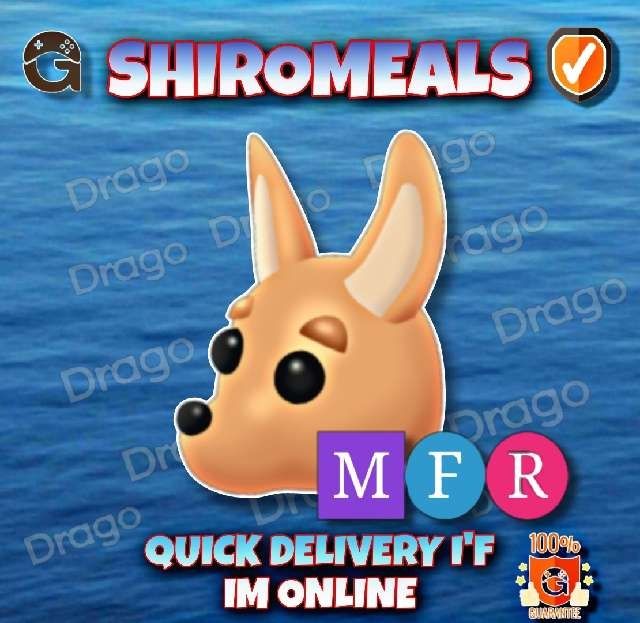 Pet | MFR Kangaroo - Game Items - Gameflip