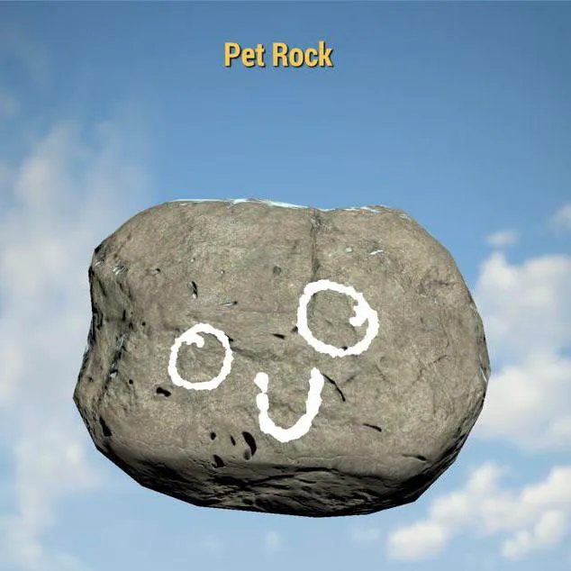 Pet Rock - Fallout 76 Game Item - Gameflip