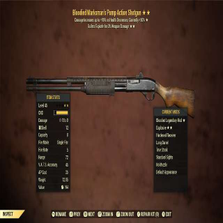 Weapon | BE Pump Shotgun ⭐⭐ - Game Items - Gameflip