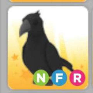 Pet | CROW NFR - Game Items - Gameflip