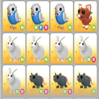 Bundle | ADOPTME PETS X12 - Game Items - Gameflip