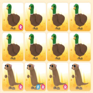 Bundle | ADOPTME PETS X12 - Game Items - Gameflip