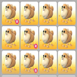 Bundle | ADOPTME PETS X12 - Game Items - Gameflip