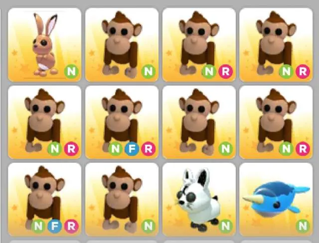 Bundle | ADOPTME PETS X12 - Adopt Me Game Item - Gameflip