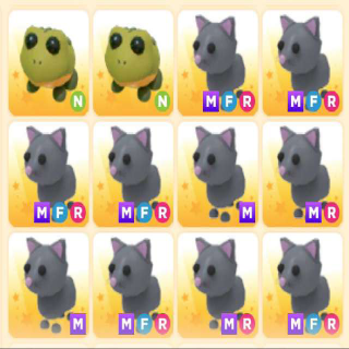 Bundle | ADOPTME PETS X12 - Game Items - Gameflip
