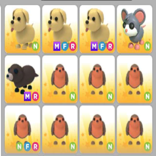 Bundle | ADOPTME PETS X12 - Game Items - Gameflip