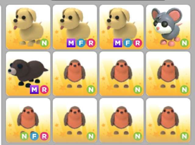 Bundle | ADOPTME PETS X12 - Game Items - Gameflip