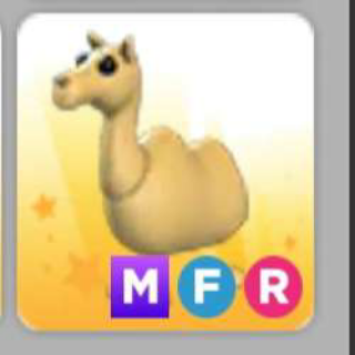 Pet | CAMEL MFR - Game Items - Gameflip