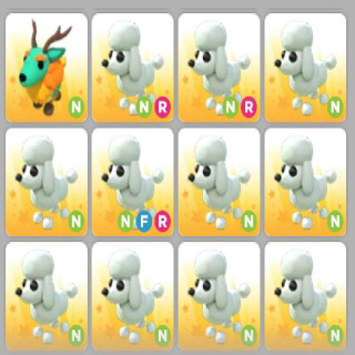 Bundle | ADOPTME PETS X12 - Game Items - Gameflip