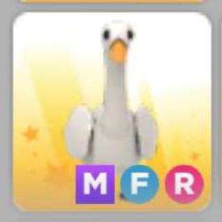 Pet | SWAN MFR - Game Items - Gameflip