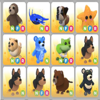 Bundle | ADOPTME PETS X12 - Game Items - Gameflip