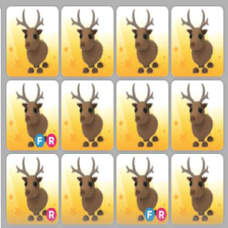 Bundle | ADOPTME PETS X12 - Game Items - Gameflip