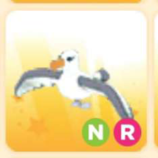 Pet | ALBATROSS NR - Game Items - Gameflip