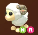 Ram NR - Adopt Me Game Items - Gameflip
