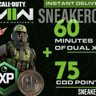 Call of Duty: Modern Warfare II - 1 Hour Dual XP - Operator - 75 Cod Points - Other Games - Gameflip