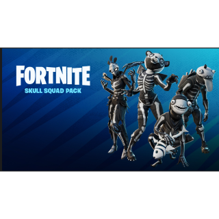 Fortnite Skull Squad Pack - Game Items - Gameflip