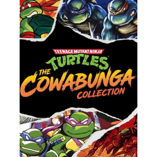 Teenage Mutant Ninja Turtles: The Cowabunga Collection - Steam Games ...