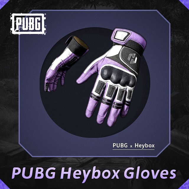 PUBG | PUBG | Heybox Gloves - PlayerUnknown's Battlegrounds Game Items ...